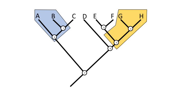 2.4 Phylogenetic Trees and Classification | Digital Atlas of Ancient Life 2.4 Phylogenetic Trees and Classification | Digital Atlas of Ancient Life