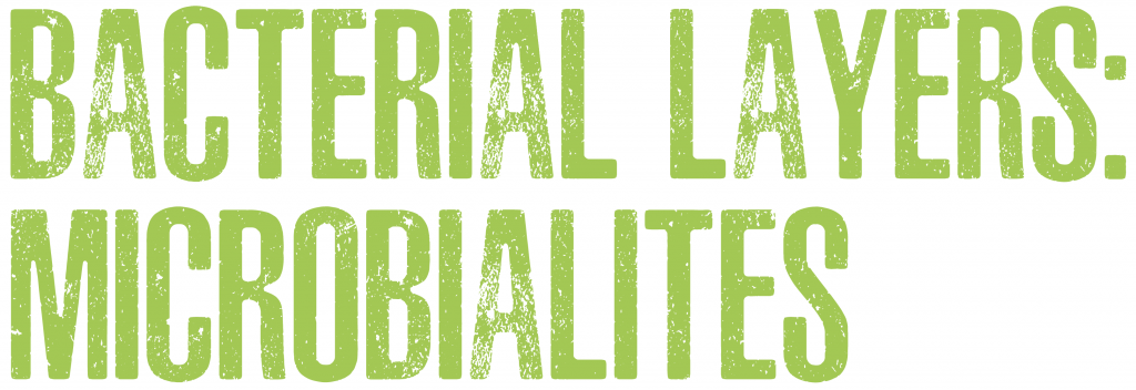 Living Fossils: Microbialites - Digital Atlas of Ancient Life