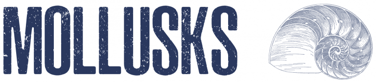 Living Fossils: Mollusks - Digital Atlas of Ancient Life